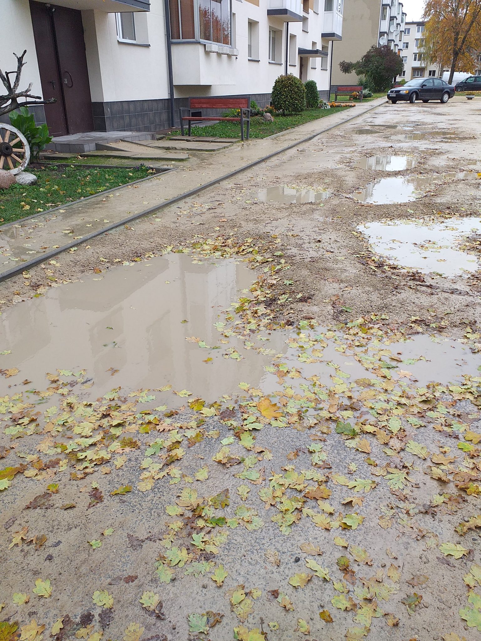 Milijonas kiemams, bet jie skęsta balose – Radviliškio Kraštas